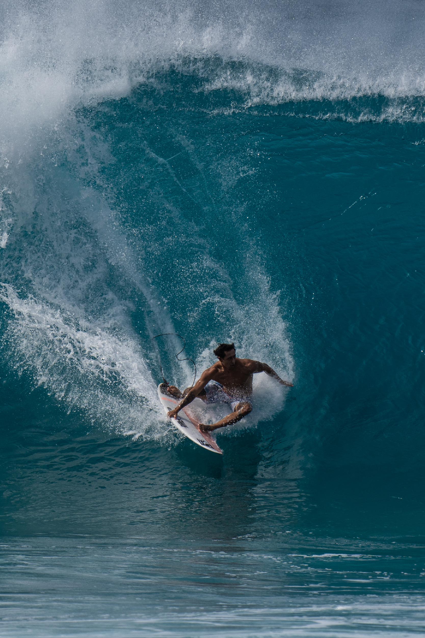 Ambassadors – VEIA Supplies